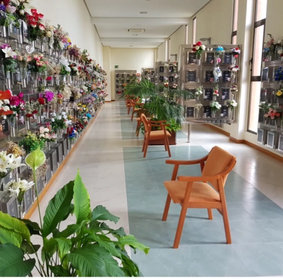 Servicios funerarios: Tanatorio Crematorio de Palencia | Mémora